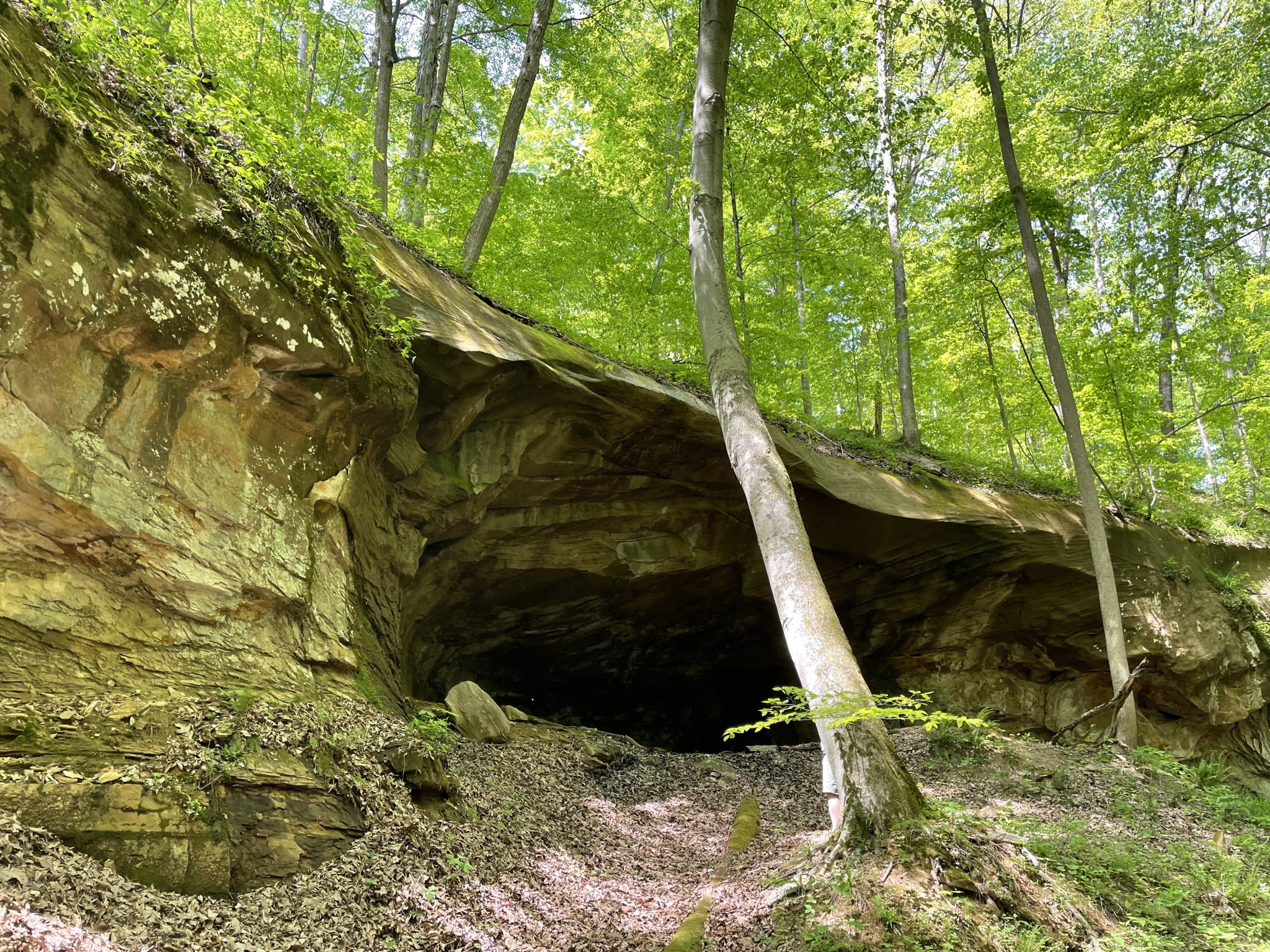 Trails and Recreation – Athens Conservancy